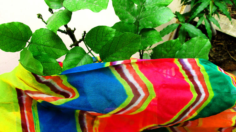 The Theme: Navrang, Navrasa | The Monsoon Festival 9